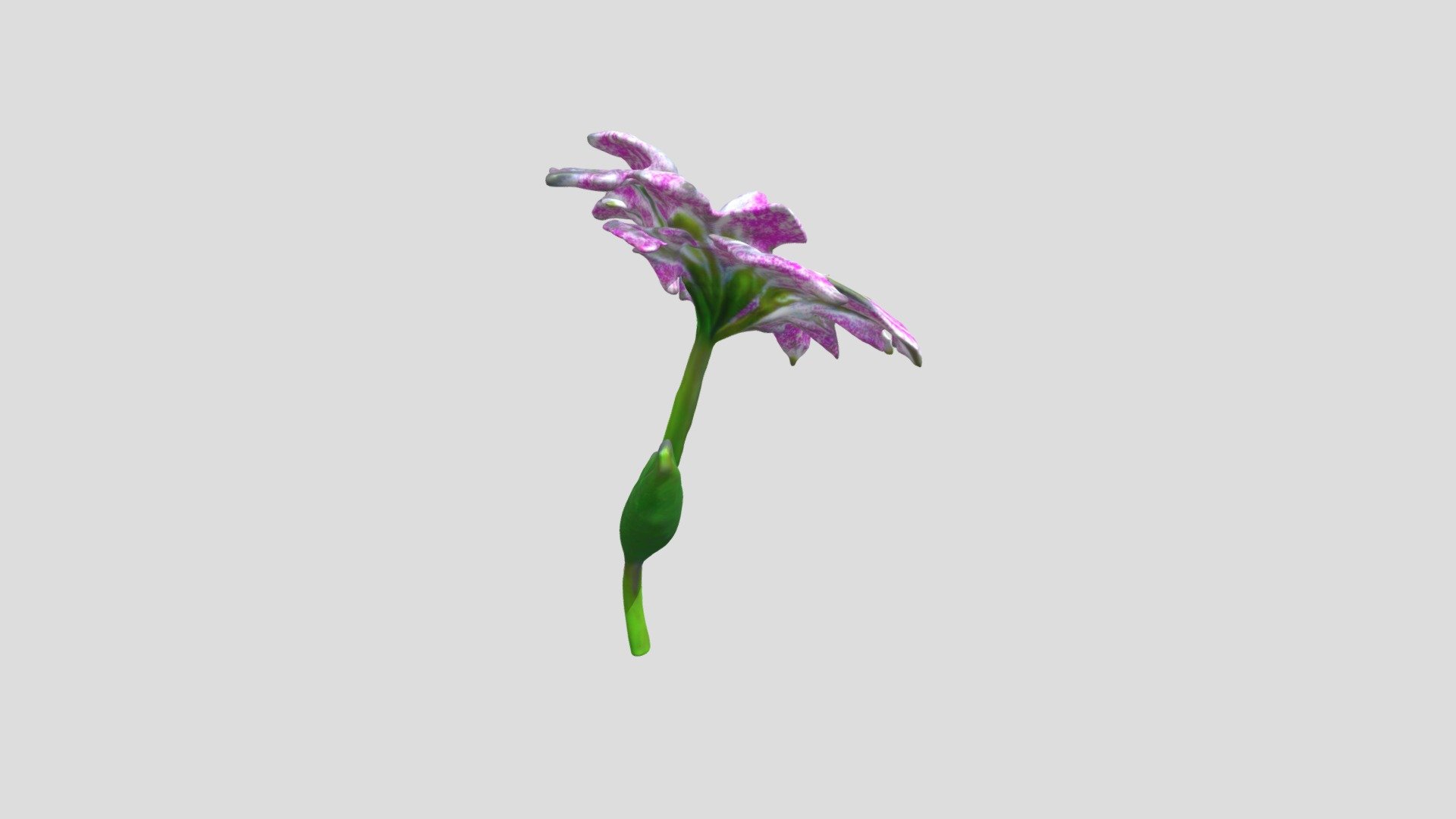 flower humanoid 1 - Download Free 3D model by taratodo23 [2a807d8 ...