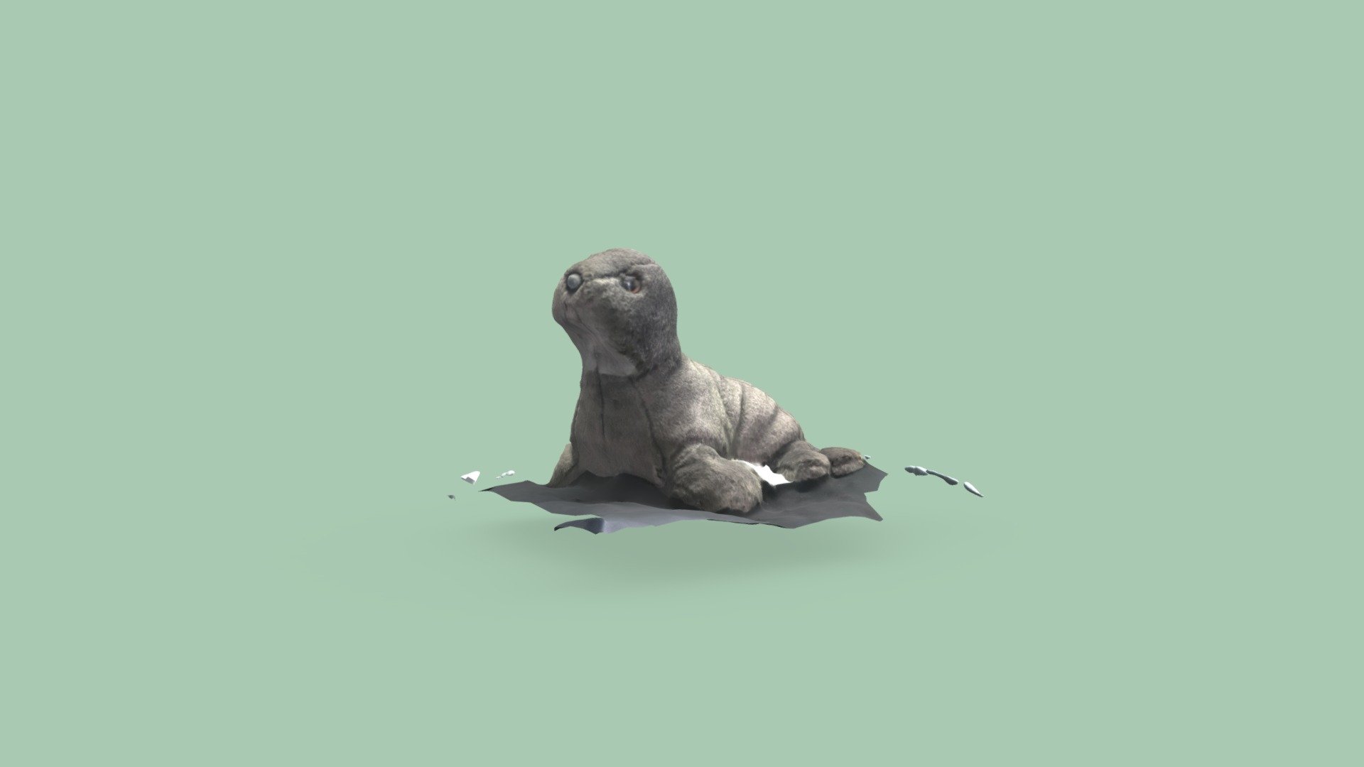 Seal - 3D model by Chompo_o [2a82980] - Sketchfab