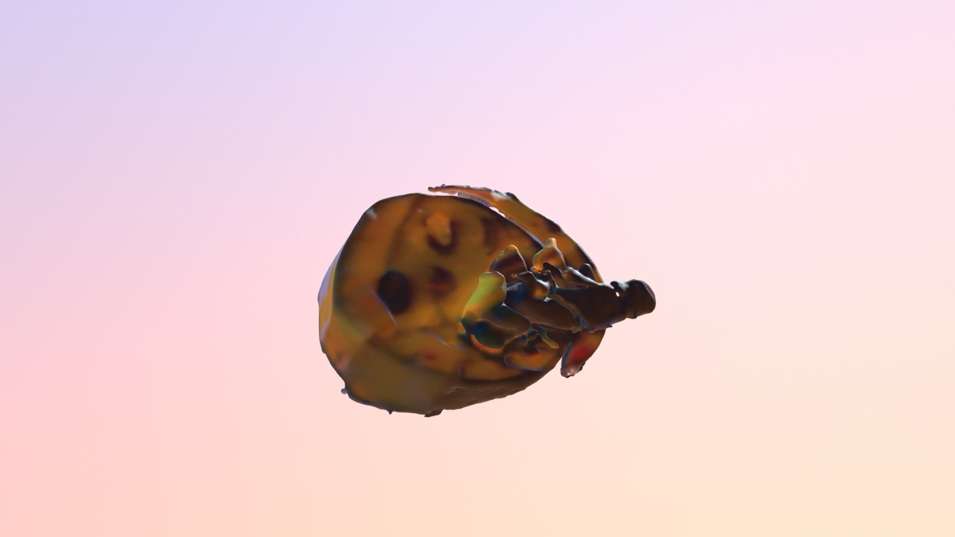 Hawkedon Artefact - 3D model by ArtLabUOR [2a882c3] - Sketchfab
