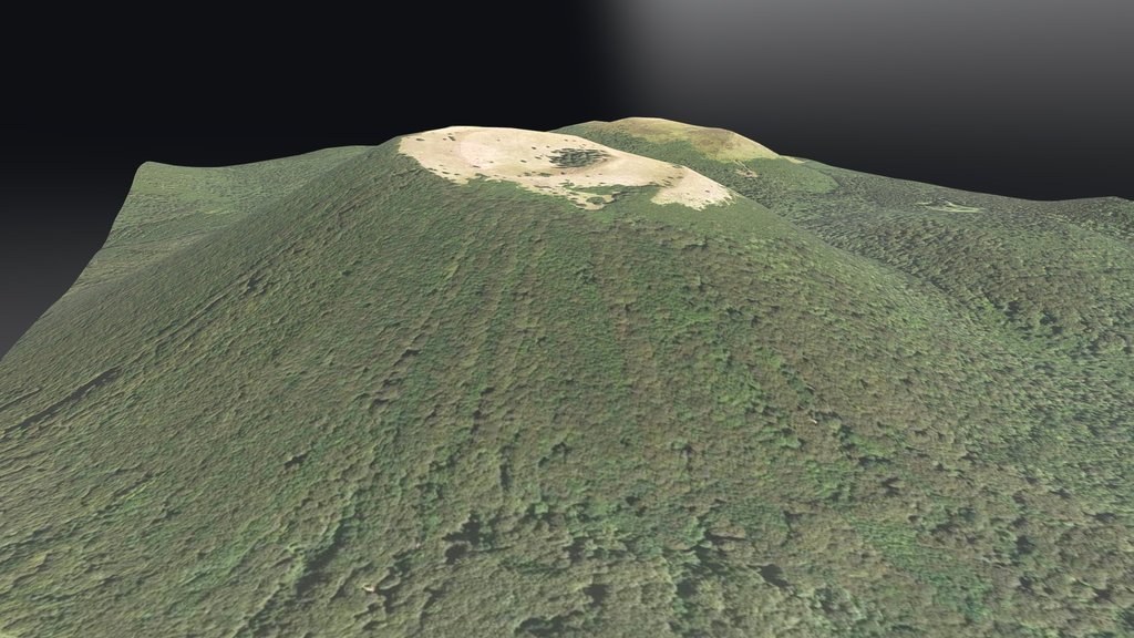 Downloadable Nature - A 3D model collection by lorraineopua - Sketchfab