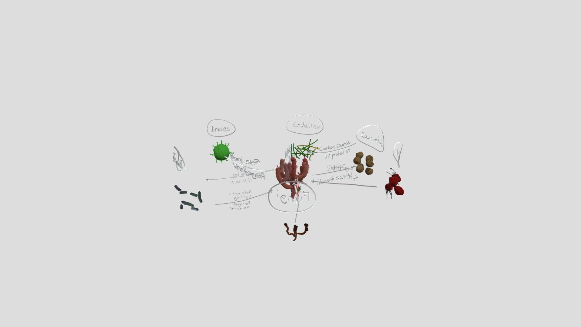 Coral: Holobiont - Download Free 3D model by Luzi09 [2a91d99] - Sketchfab