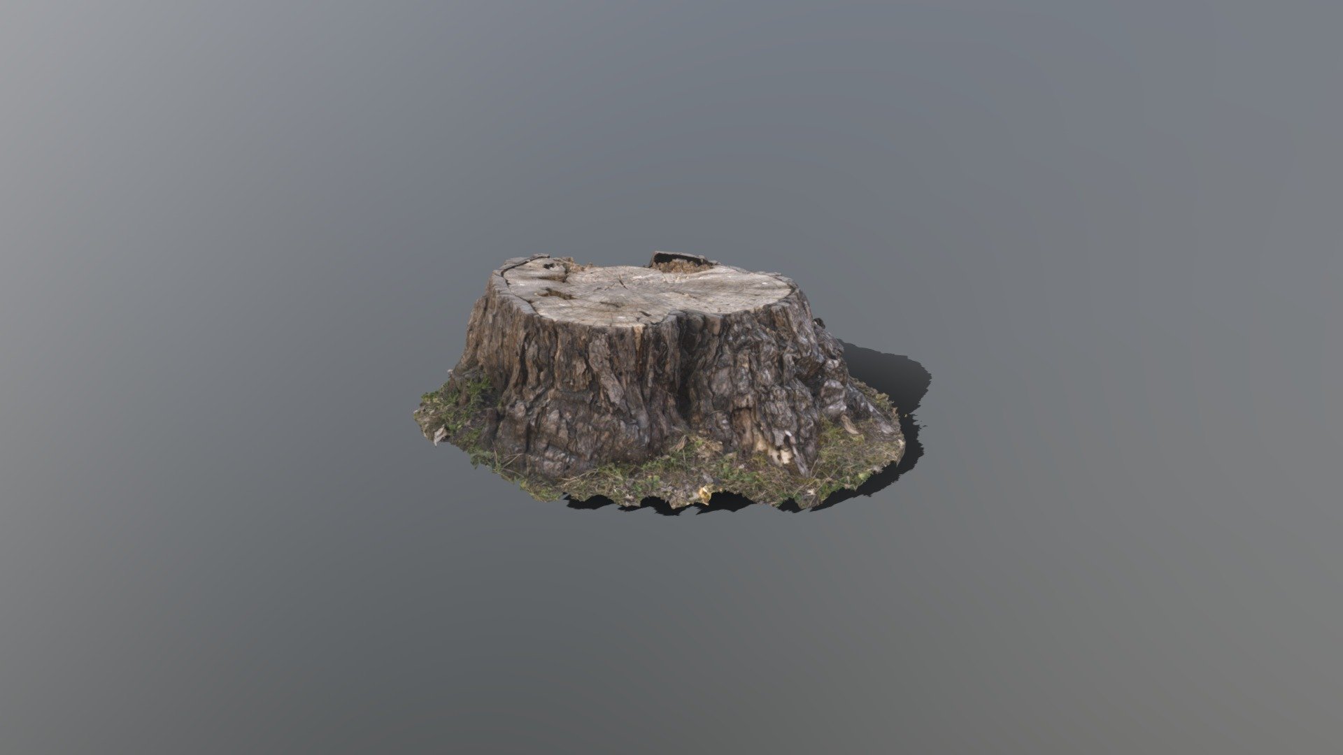 Modelo Tronco - 3D model by Pepearmeria [2a9fa82] - Sketchfab