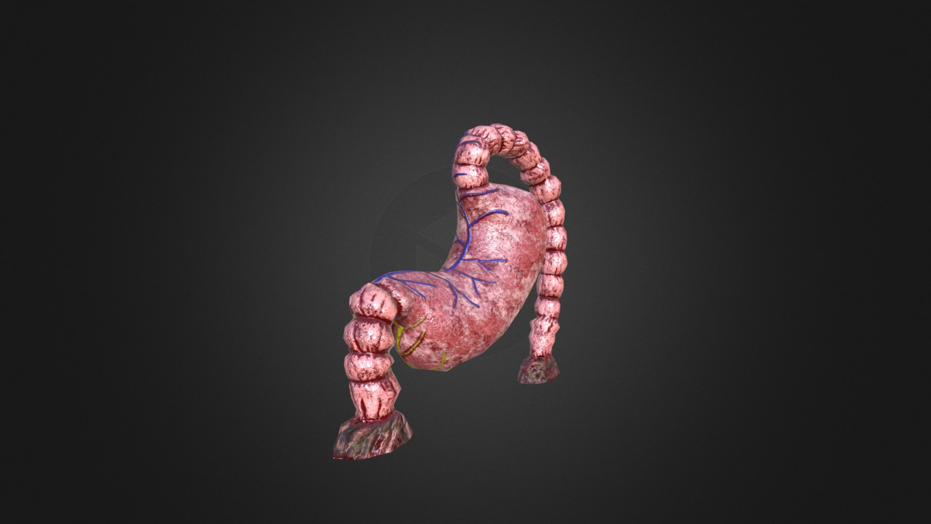 Stomach Game Asset - 3D model by MHaywood [2aa0831] - Sketchfab