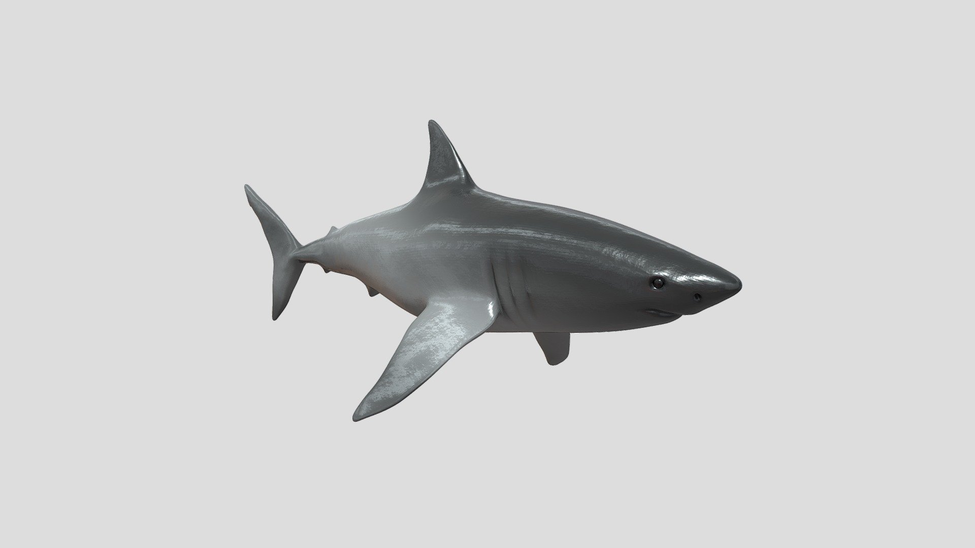 Shark - 3D model by Lars Kiesow (@LarsKiesow) [2aa0d91] - Sketchfab