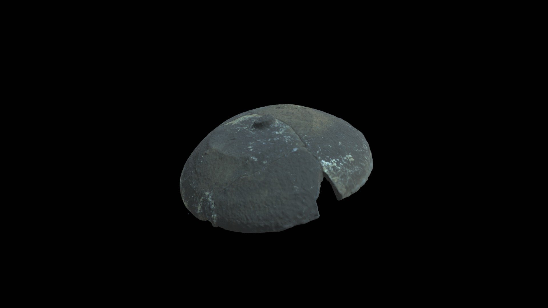 Tapadera / Couvercle - 3D model by Yacimiento arqueológico Albalat ...