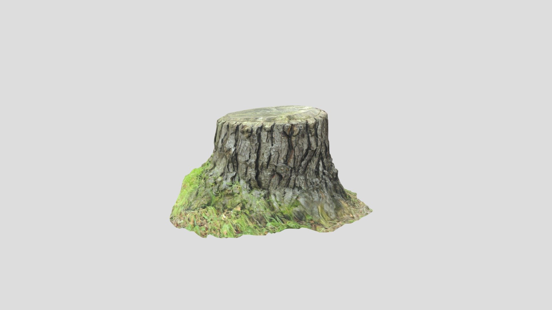 3D scanned tree stump. - Download Free 3D model by springredstudio ...
