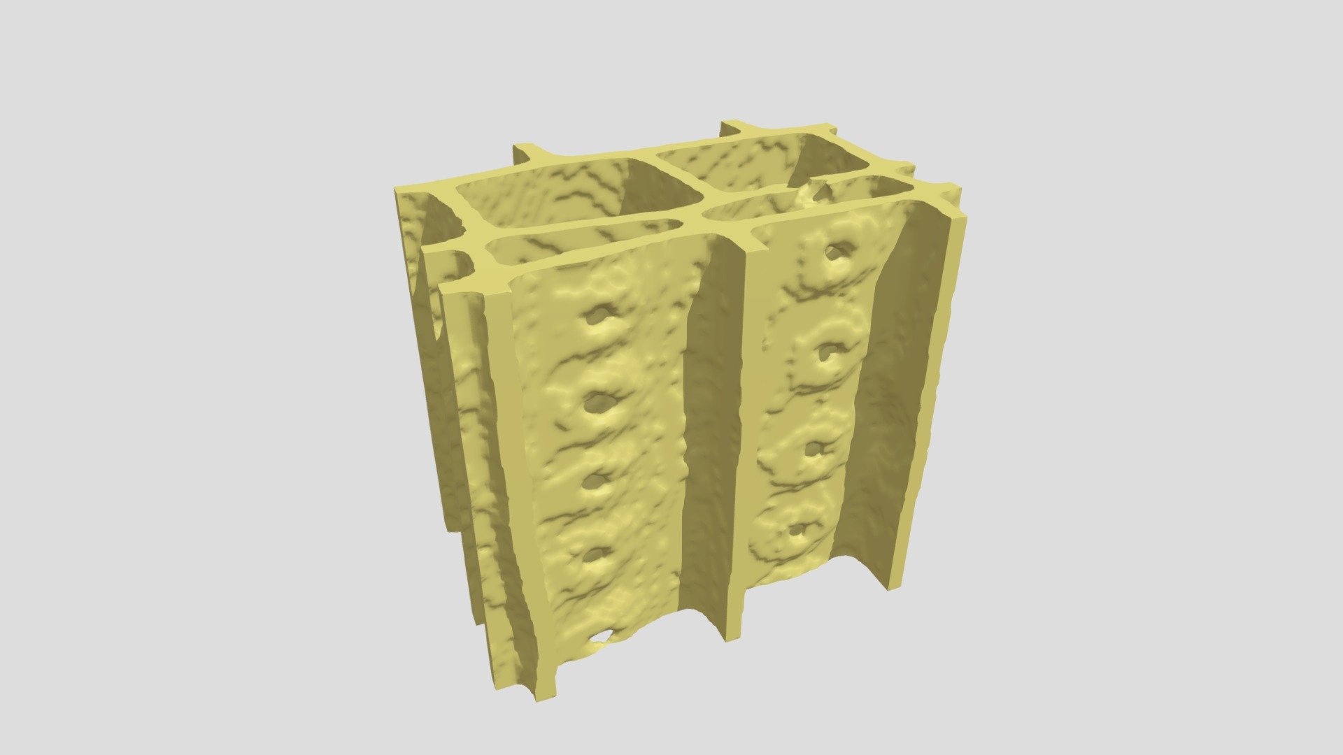 Pine wood: Bordered pits in earlywood - 3D model by tkodden (@Holzbio ...