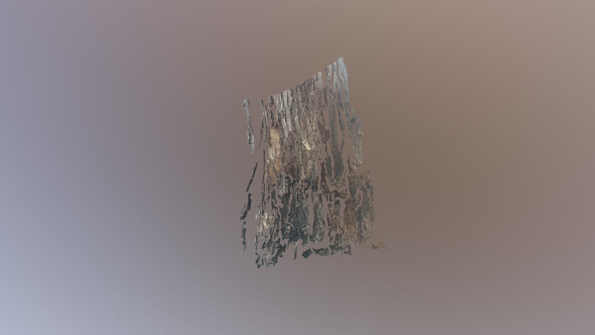 Tree Bark - Download Free 3D model by eora 3D (@eora3d) [2ab6ecb ...