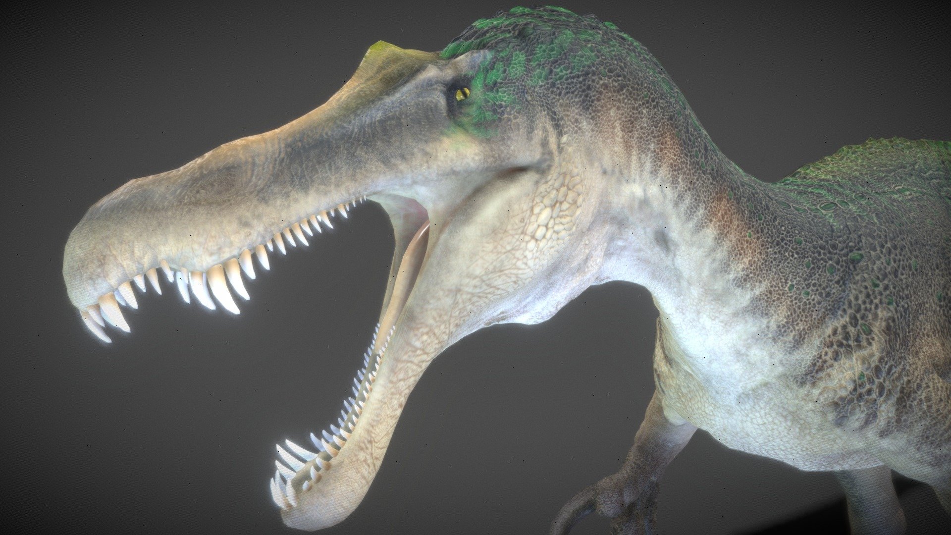 Suchomimus - 3D model by robertfabiani [2abc809] - Sketchfab