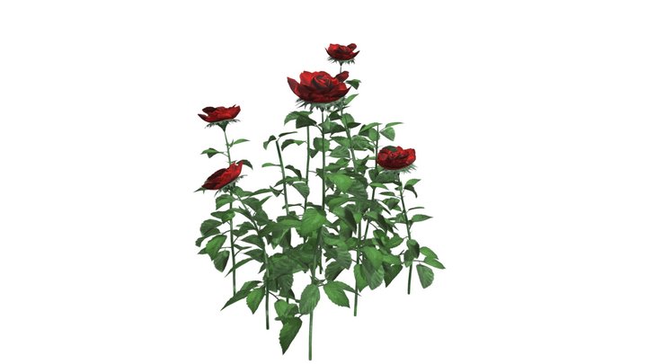 Patch 3D models - Sketchfab