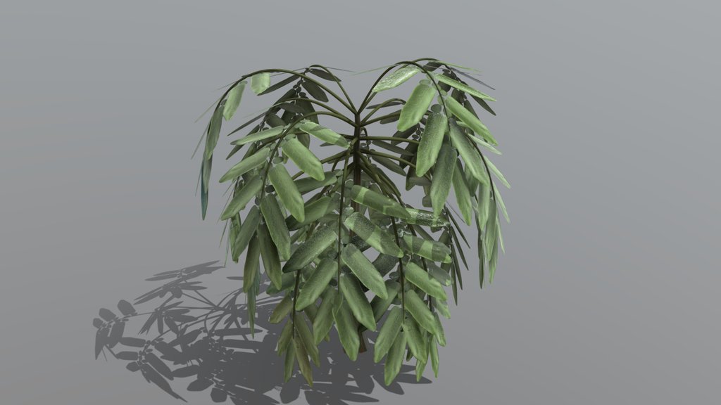 Carboniferous - North America - A 3D model collection by Paleobiome ...