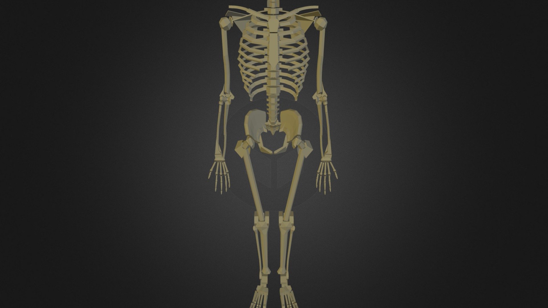SKELETON.3DS - 3D model by MrTone459daed20f274670 [2ad16ed] - Sketchfab