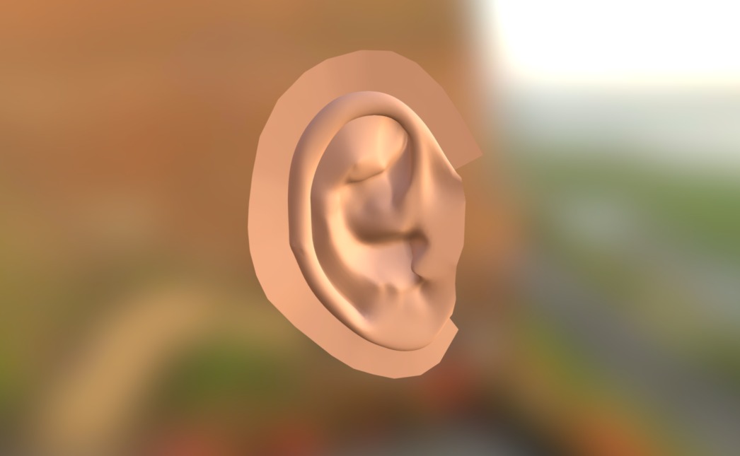 Oreja - 3D model by telezk [2adc741] - Sketchfab