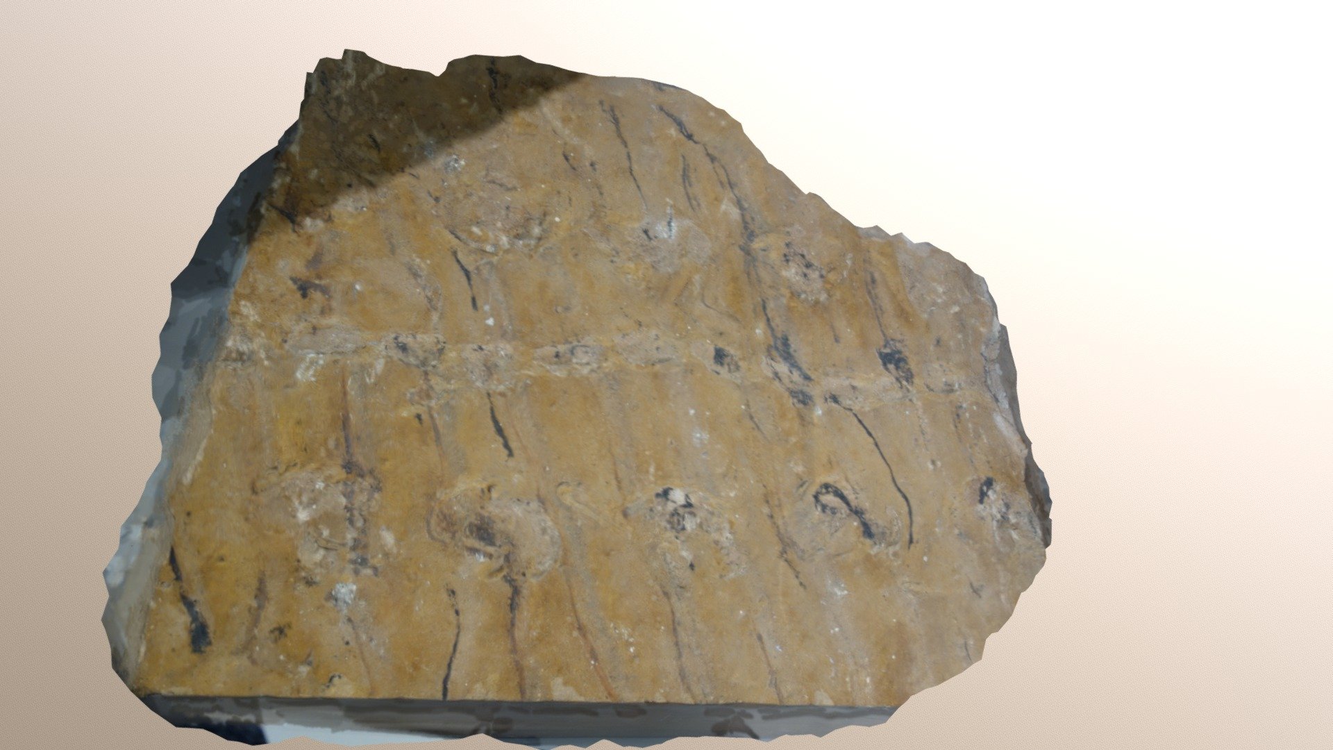 Ripple Marked Slab Track - 3D model by DaveL [2add728] - Sketchfab