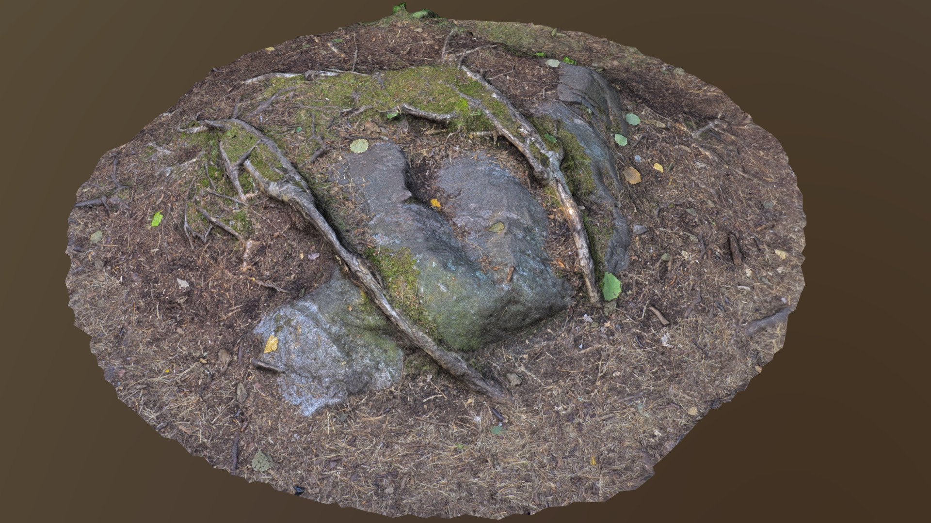 Rock with Tree Roots - 3D model by Joachim Beens (@JoachimBeens ...