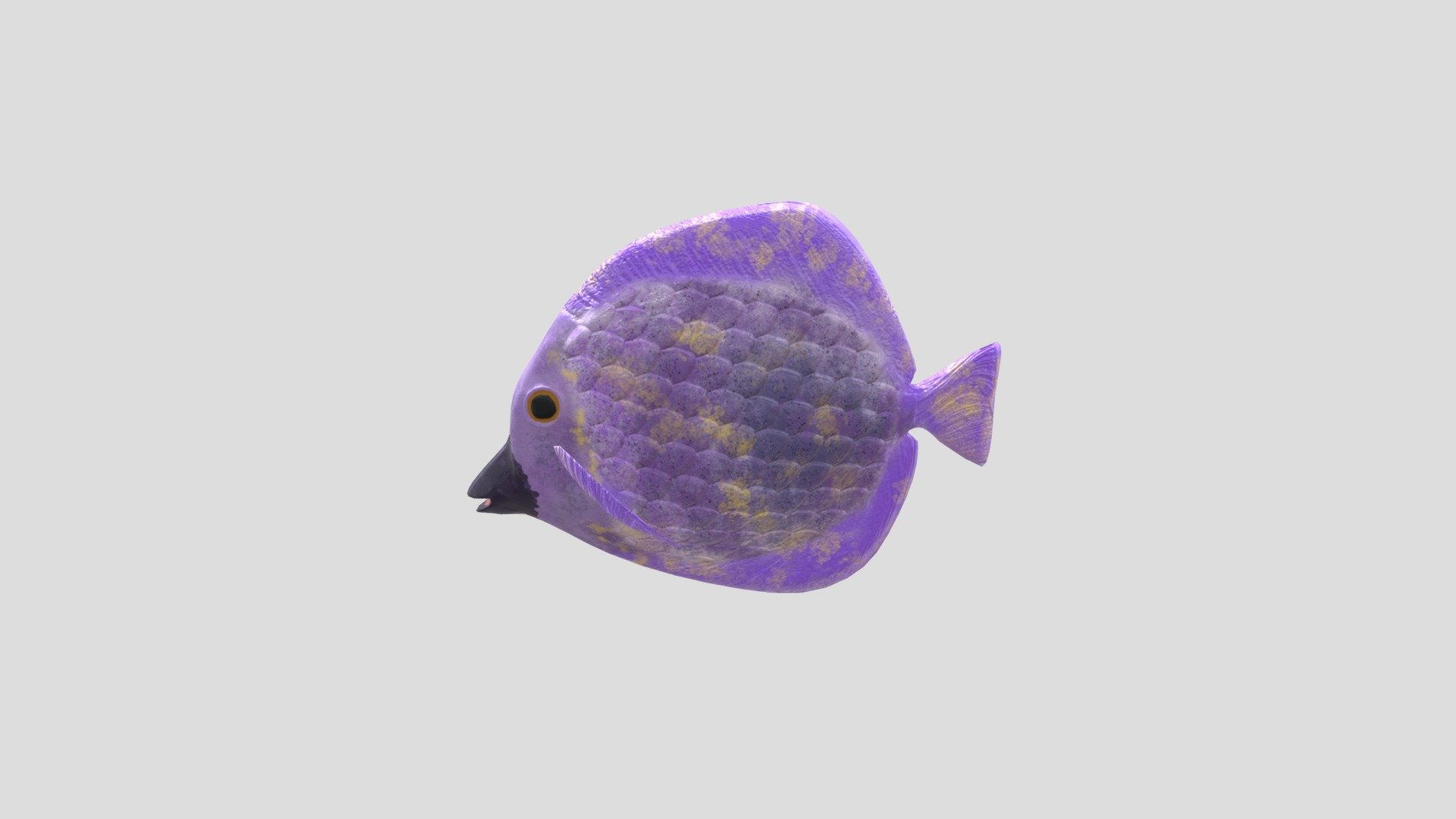 Painted Fish - 3D model by JosephStankosky [2ae11ef] - Sketchfab