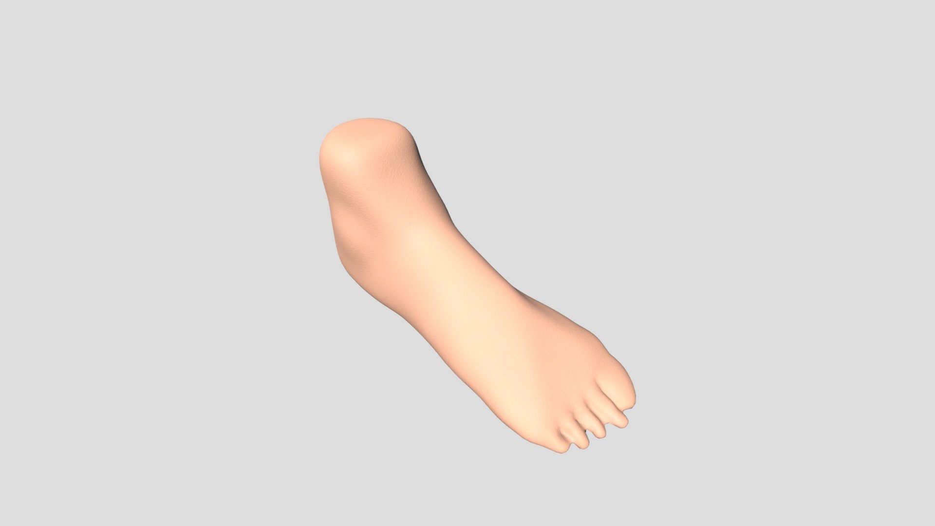 Foot_Sculpt - 3D model by Jordan Whyte (@JordanWhyte) [2ae4306] - Sketchfab