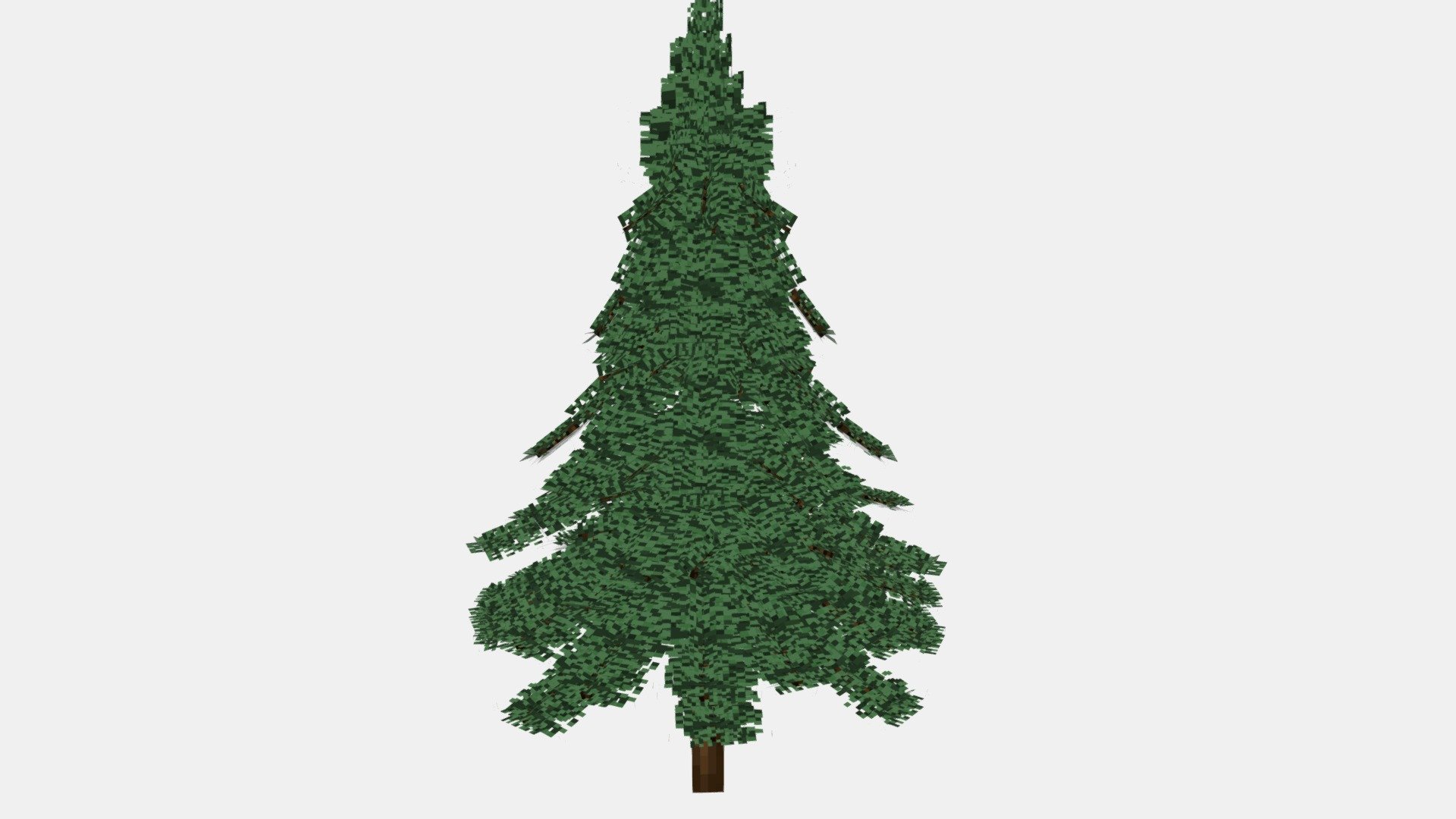 Fir Tree - 3D model by umegu13 [2aea351] - Sketchfab