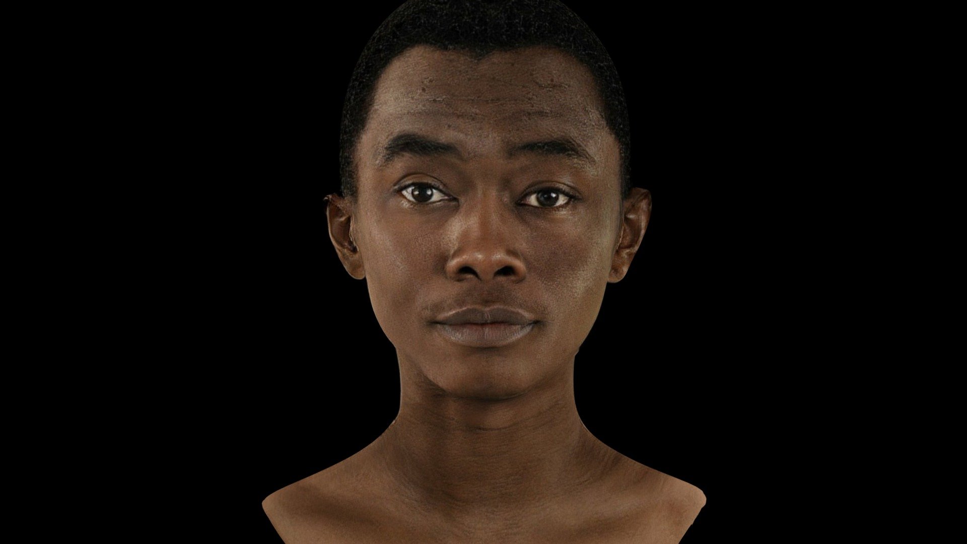 Human Dignity Collection | www.acuteline.com - Download Free 3D model ...