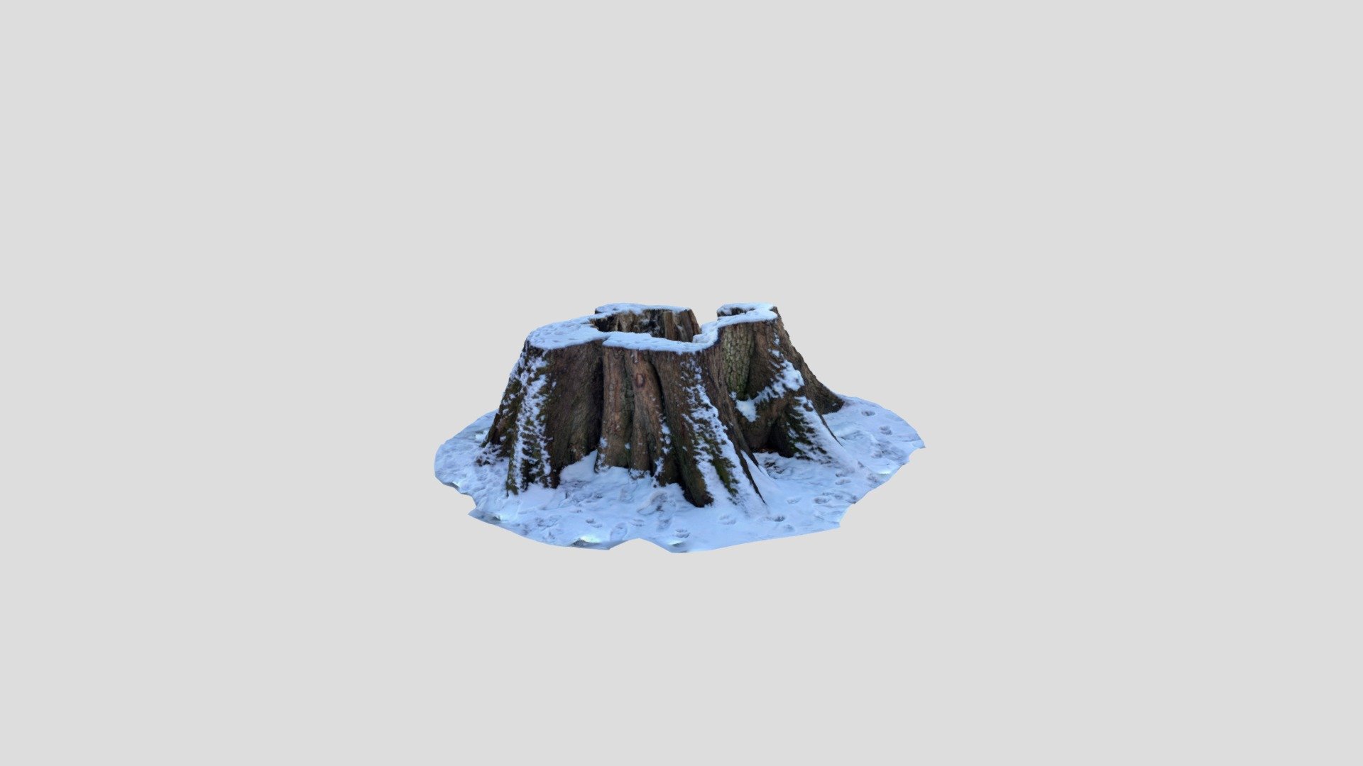 Tree Stump - Download Free 3D model by cashewcodes9 [2aef748] - Sketchfab