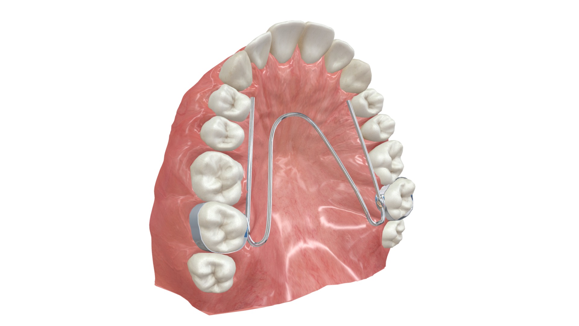 W ARCH II - 3D model by Interactive 3D Data (@proteinsimulation ...