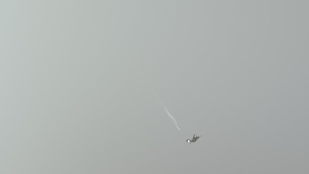 Point Cloud from Intel RealSense D435 camera - 3D model by Suzanne ...