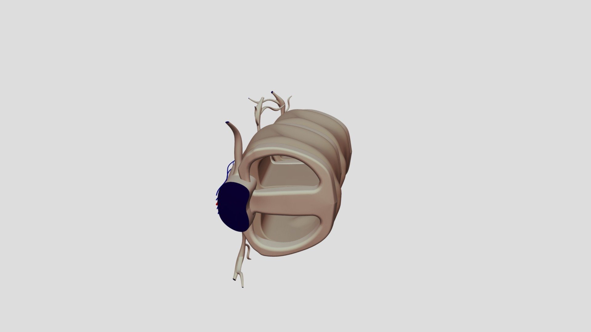 Vertebrae_STEP - 3D model by ABC Almaty (@abcdesign2052) [2b01576 ...
