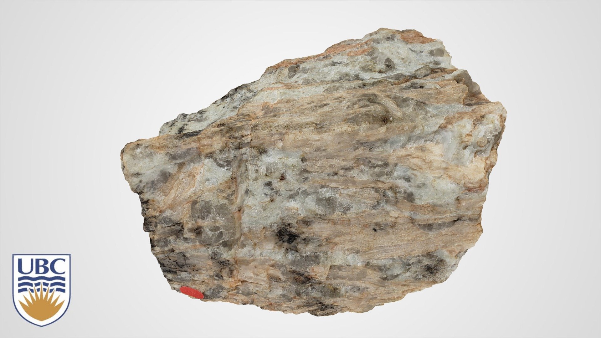 LNPG (pegmatite) - 3D model by Nichole Moerhuis (UBC Geology ...
