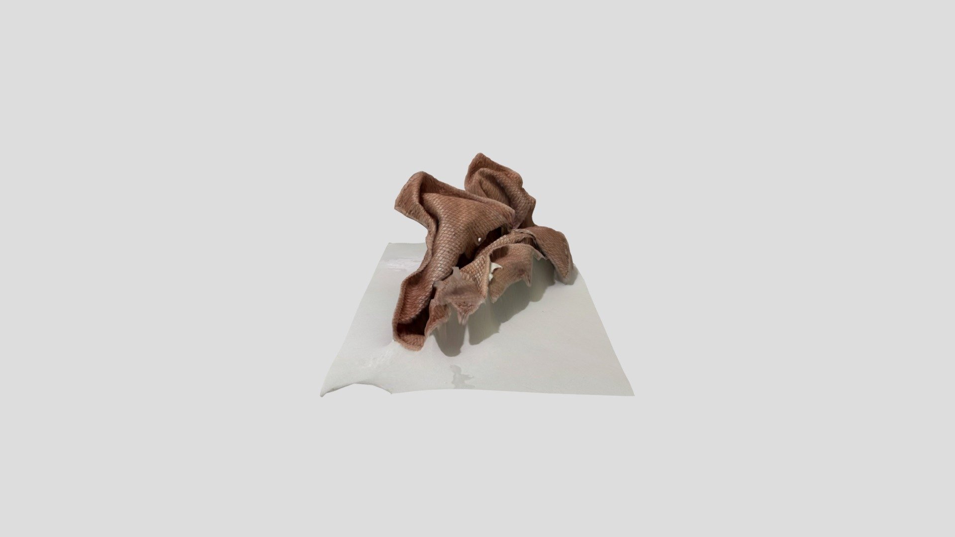 Cloth 3D Scan 3 - Download Free 3D model by zeynepgorken [2b1e2dd ...