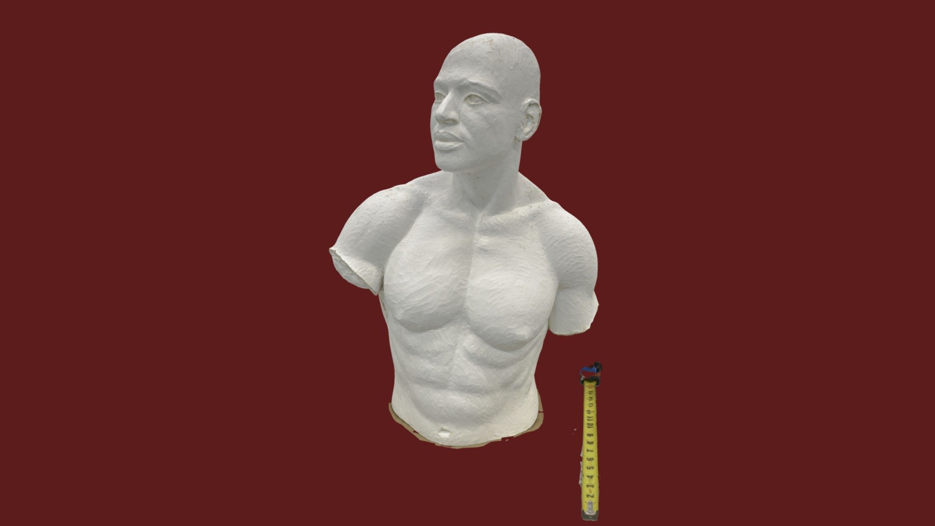 MAN Plaster Torso Model 100Ktris - 3D model by Gallery of Reality ...