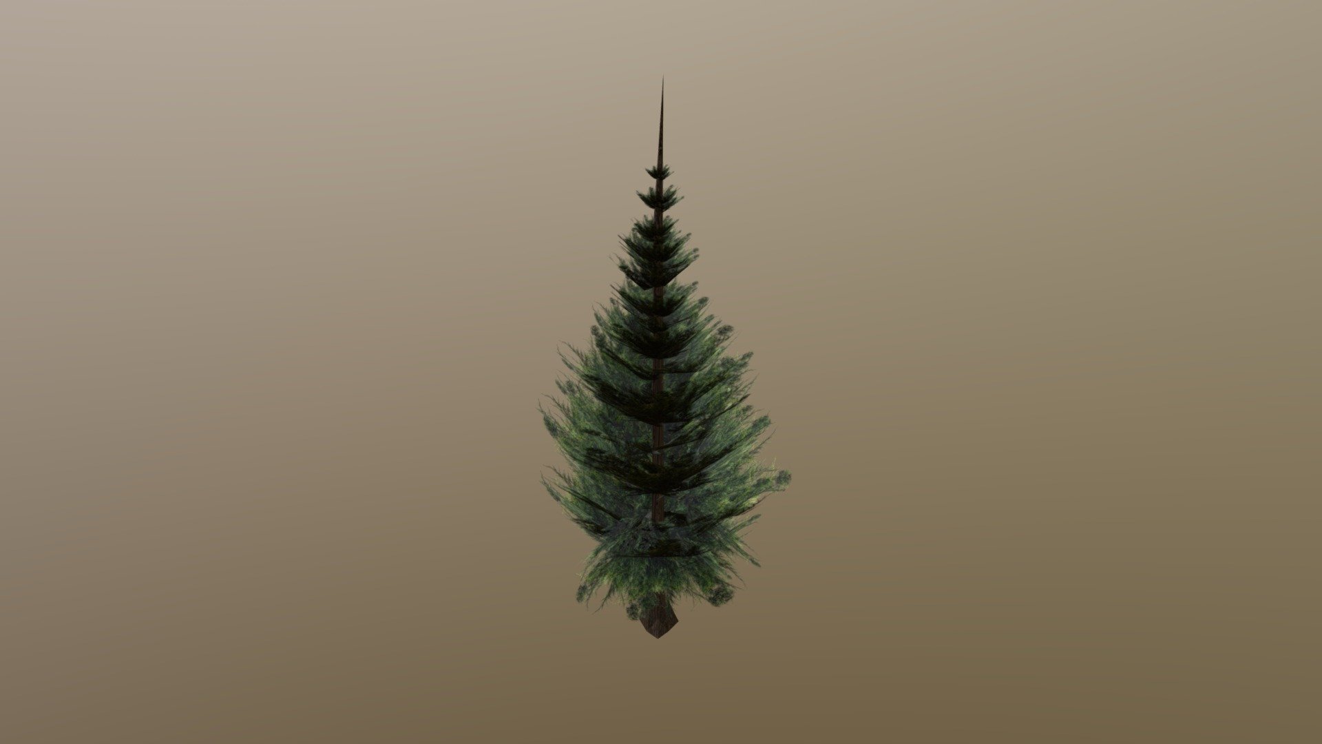 Large Spruce Tree - 3D model by EthanASC [2b3ff6b] - Sketchfab