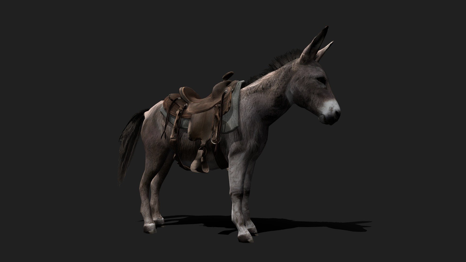 Realistic Animated Donkey 3D Model - 3D model by WildMesh 3D (@WildMesh ...