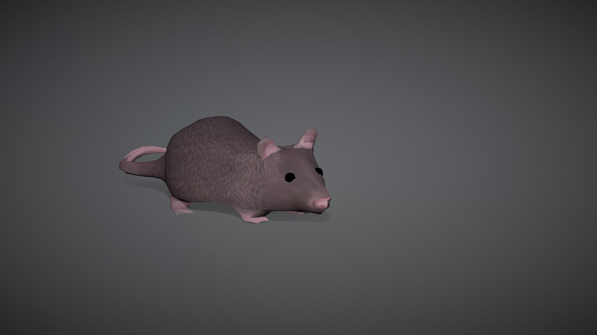 Rat - 3D model by Bellebunnik [2b45f50] - Sketchfab