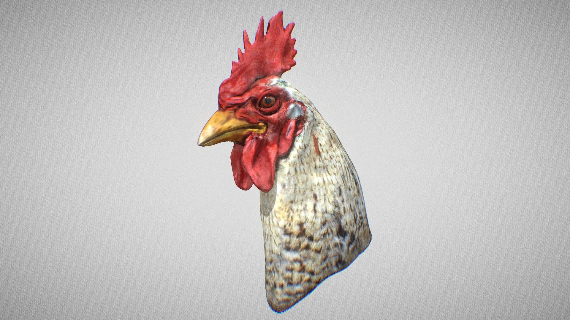 Rooster - Buy Royalty Free 3D model by Tom Johnson (@Brigyon) [2b4f0eb ...