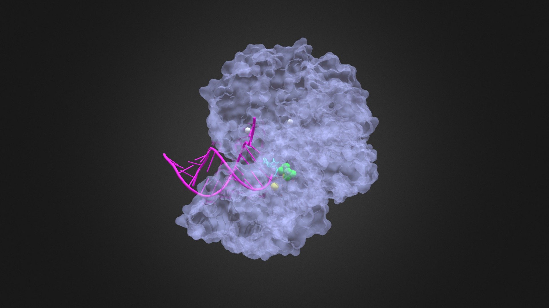 I Know What You Are: RdRp Remdesivir Interaction - 3D model by ...
