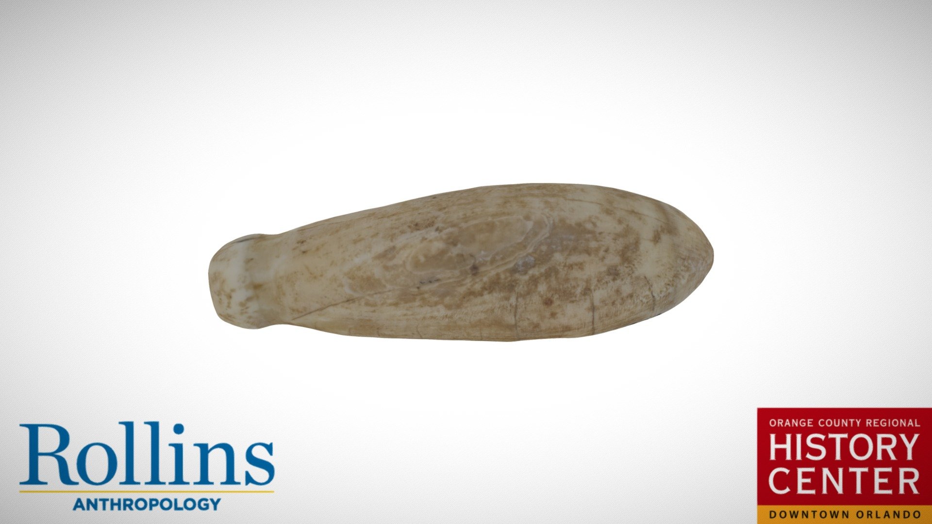 Shell Plummet, Orange County, Florida - Download Free 3D model by ...