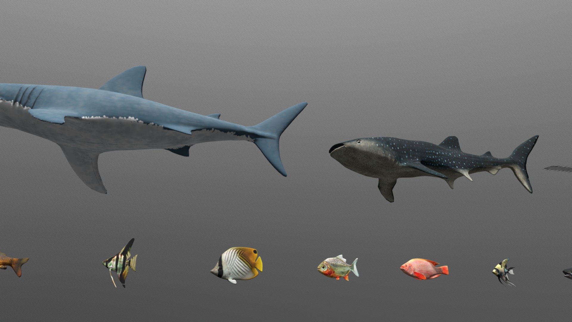 20 models / Fish Pack / Animal Collection - Buy Royalty Free 3D model ...