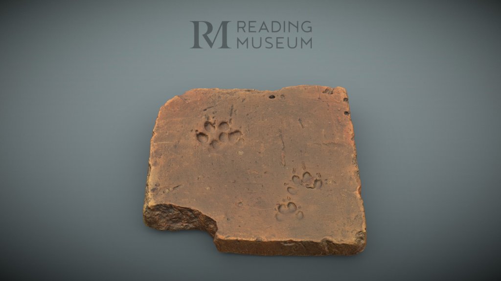 Reading Museum - A 3D model collection by ThinkSee3D - Sketchfab