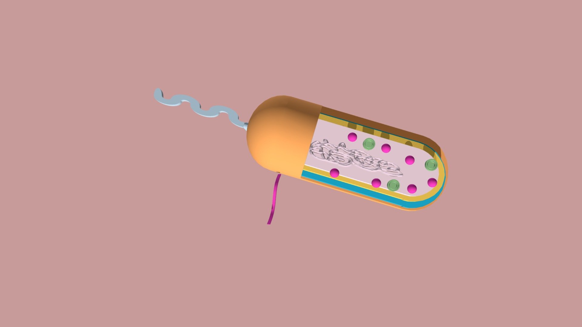 E_ Coli Cell - Download Free 3D model by bedonio [2b63df1] - Sketchfab