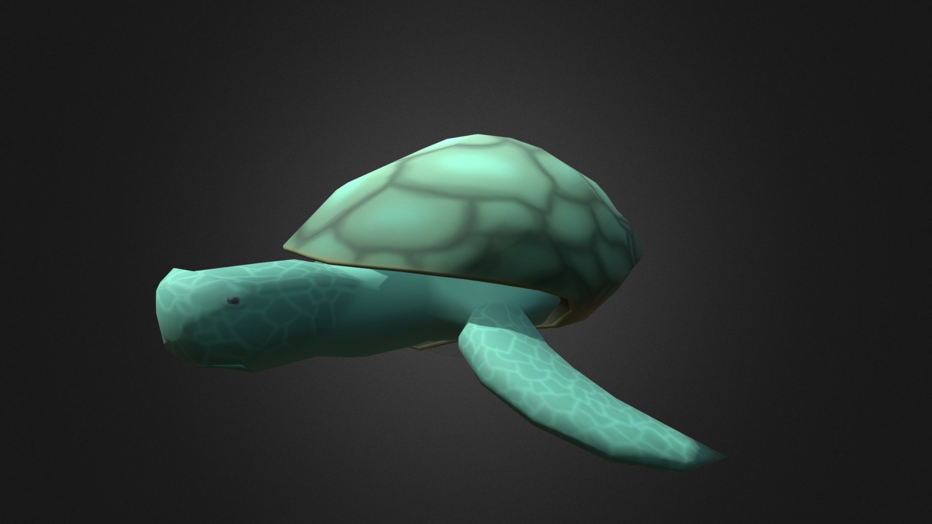 Turtle - Download Free 3D model by C.anton [2b6cc01] - Sketchfab