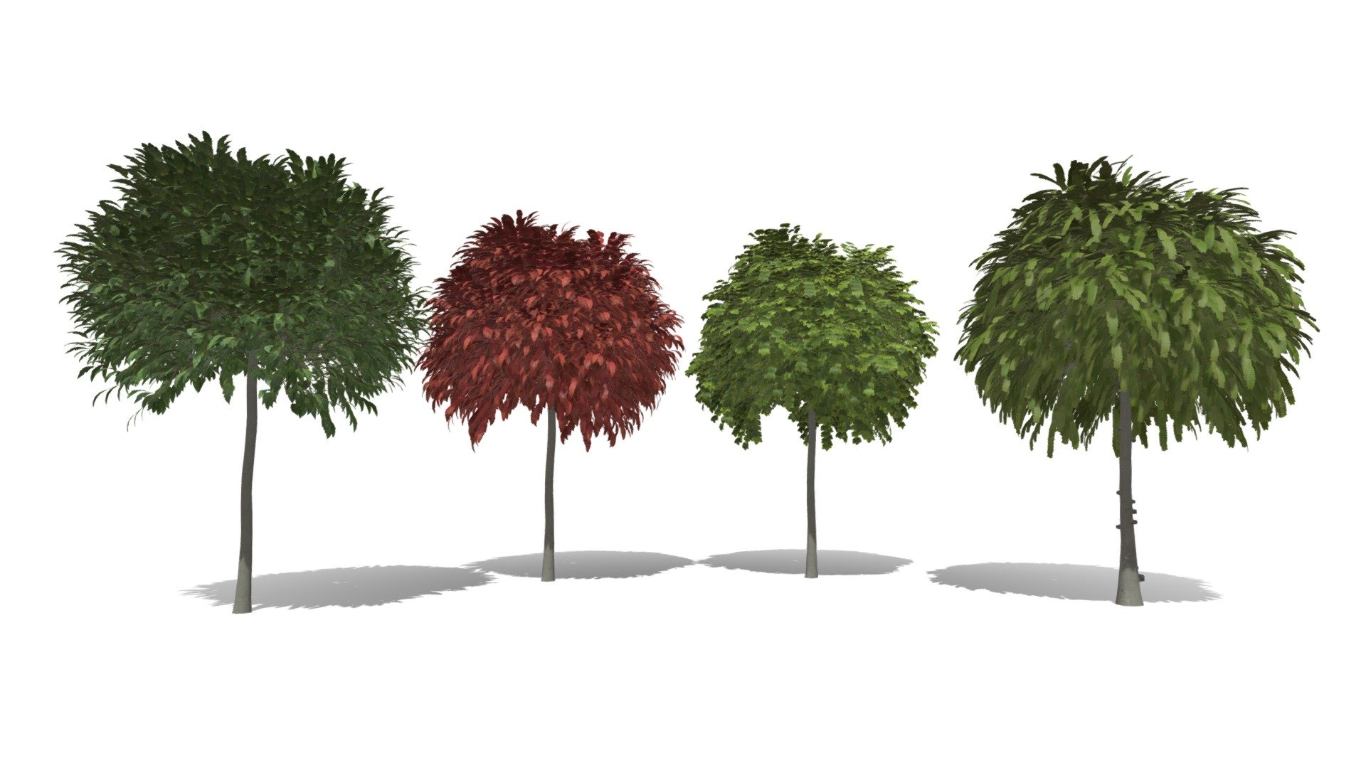 Mop Top trees collection - Buy Royalty Free 3D model by hkhalif ...