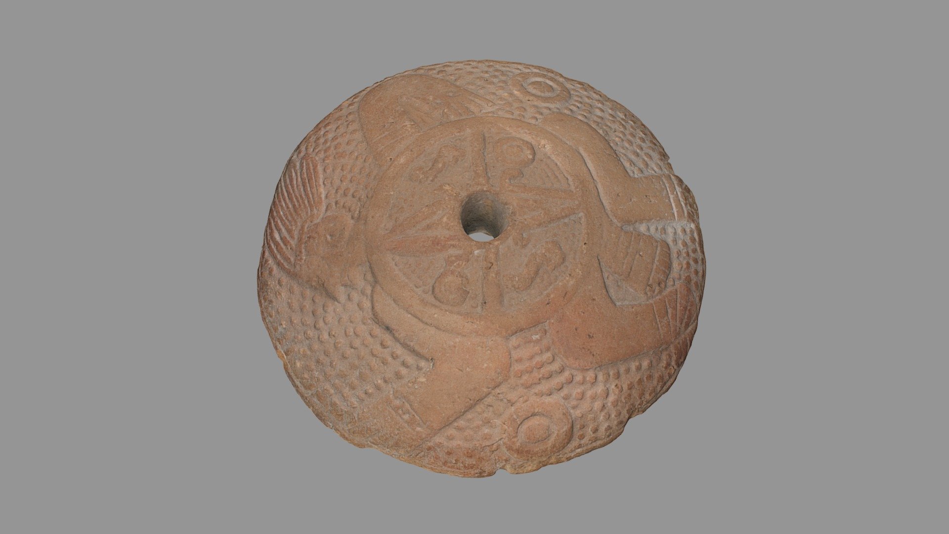 YPM ANT.136205 - Download Free 3D model by Yale Peabody Museum ...