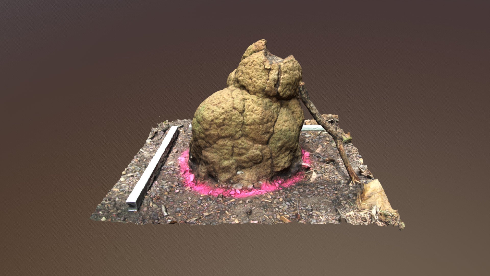 Termite mound Tp5-2016 - 3D model by pnauer [2b7fa4e] - Sketchfab