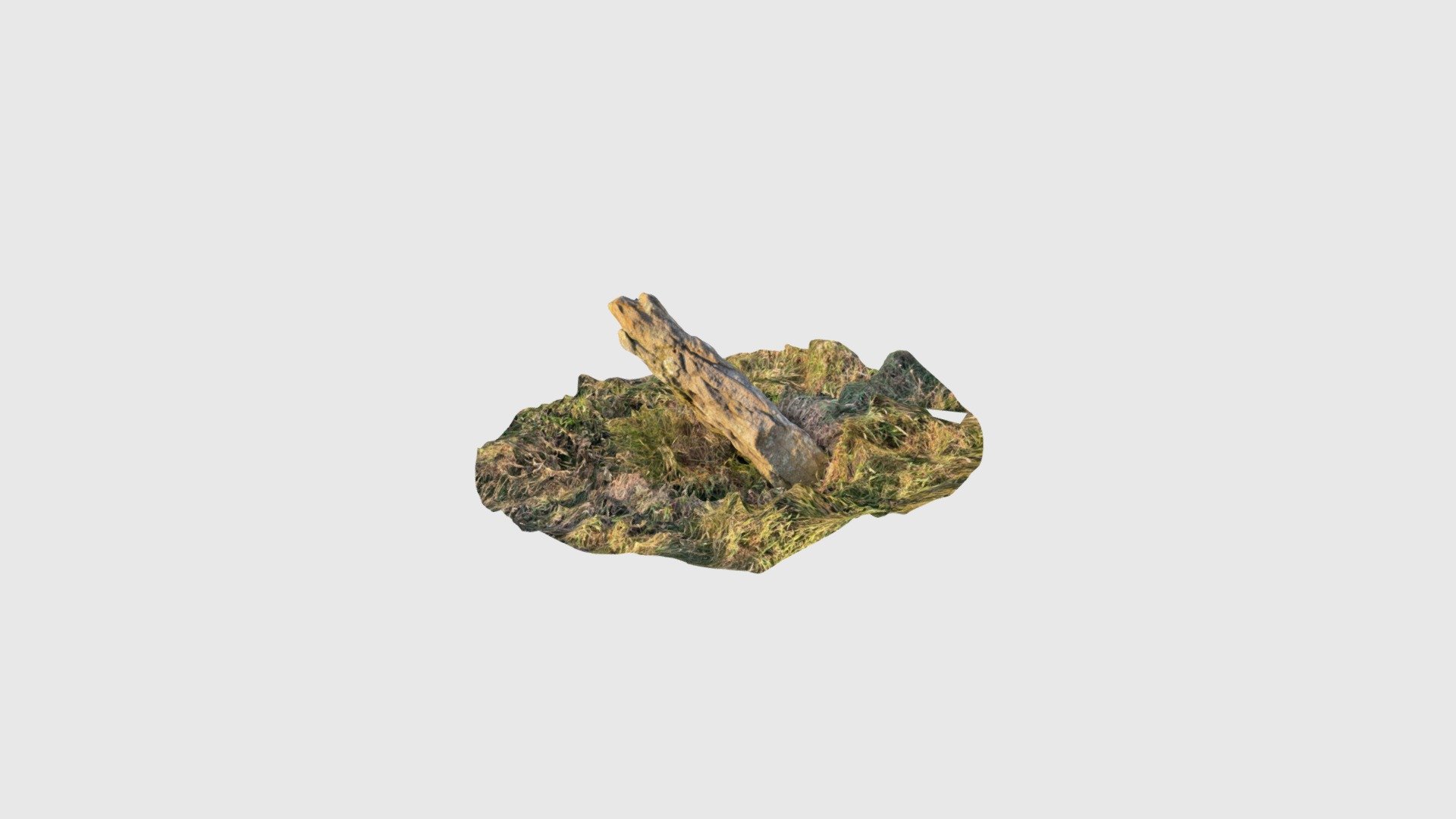 Foxlowe Edge Standing Stone - Download Free 3D model by Skydruid ...
