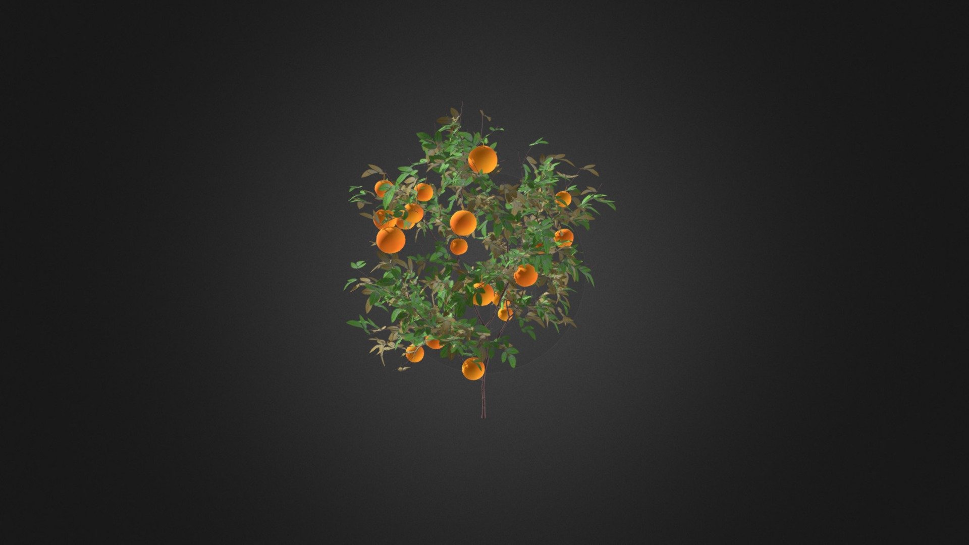 Orange Tree with Fruits 3D Model 1.6m - Buy Royalty Free 3D model by ...