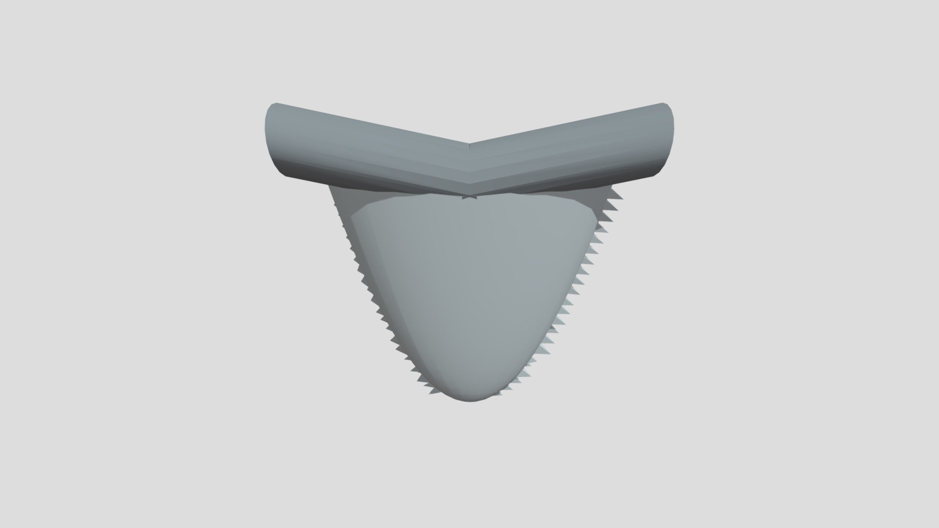 Sharks tooth - Download Free 3D model by Shylaaa [2b86461] - Sketchfab