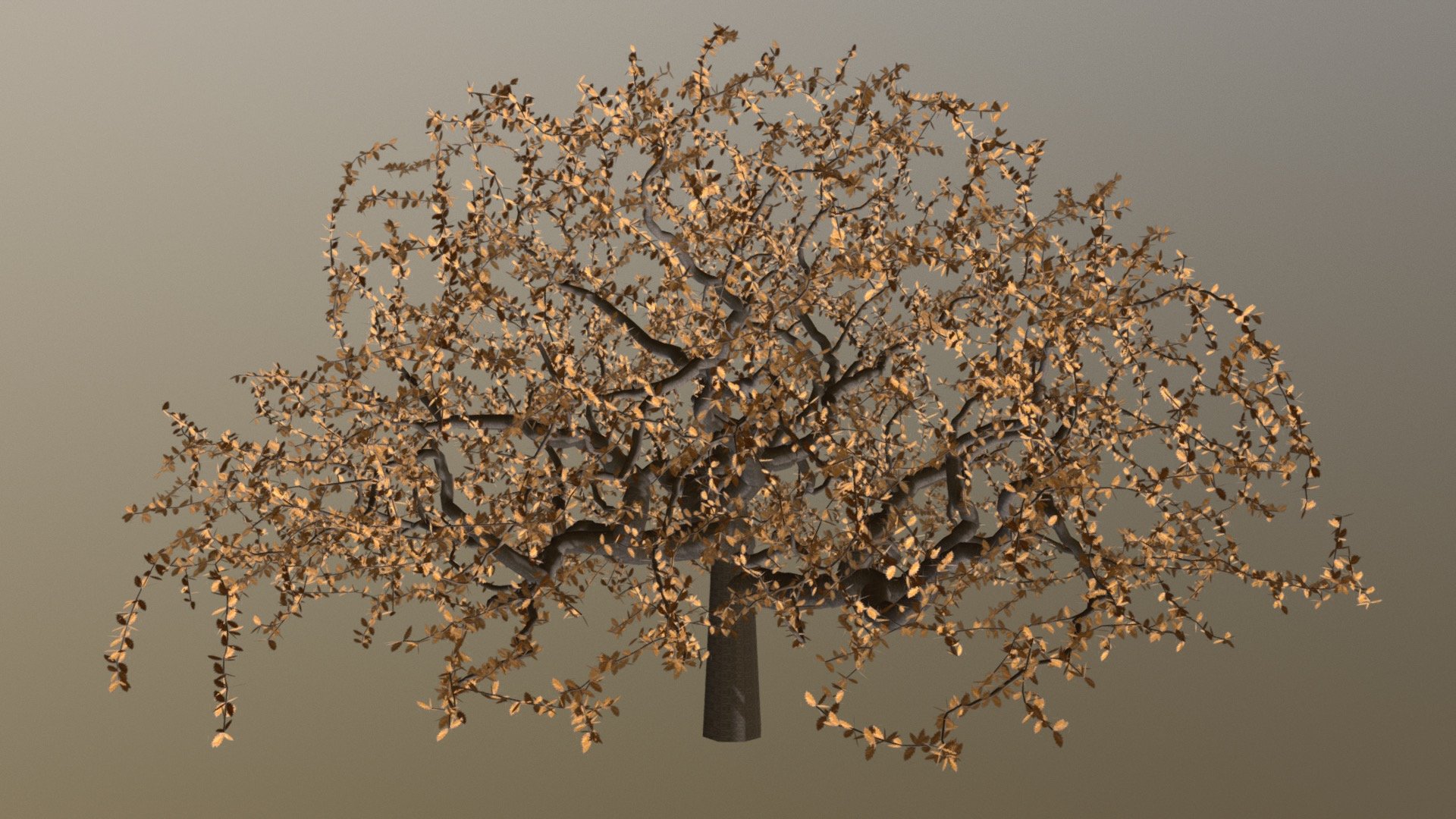 Oak tree - 3D model by OrangeNote [2b89421] - Sketchfab