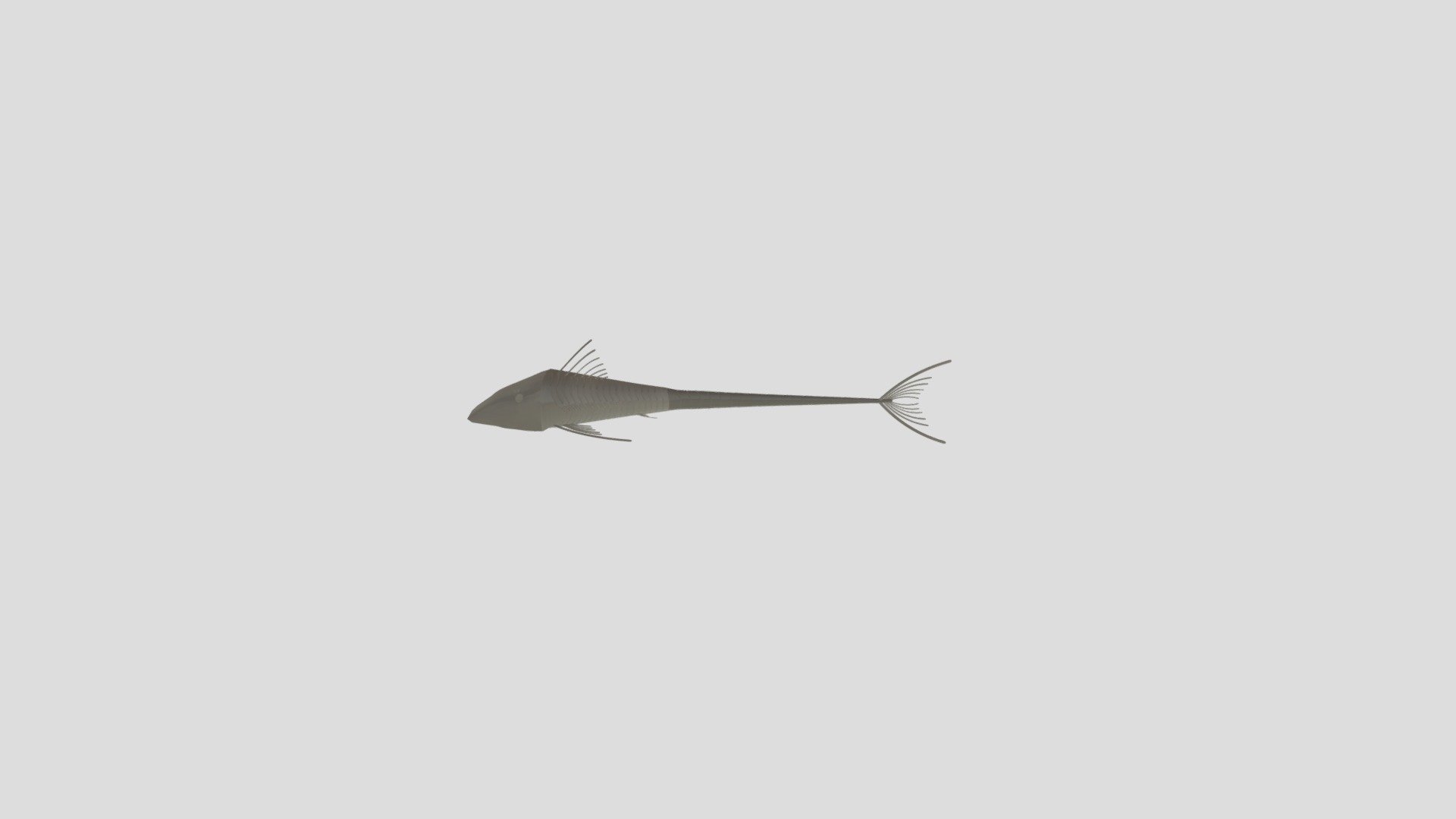 Catfish 3D Model - 3D model by fernandococa01 [2b97b01] - Sketchfab