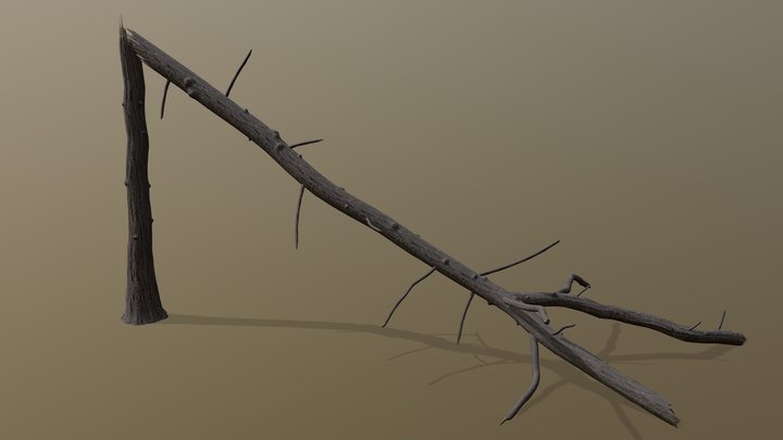 Dead-tree 3D models - Sketchfab