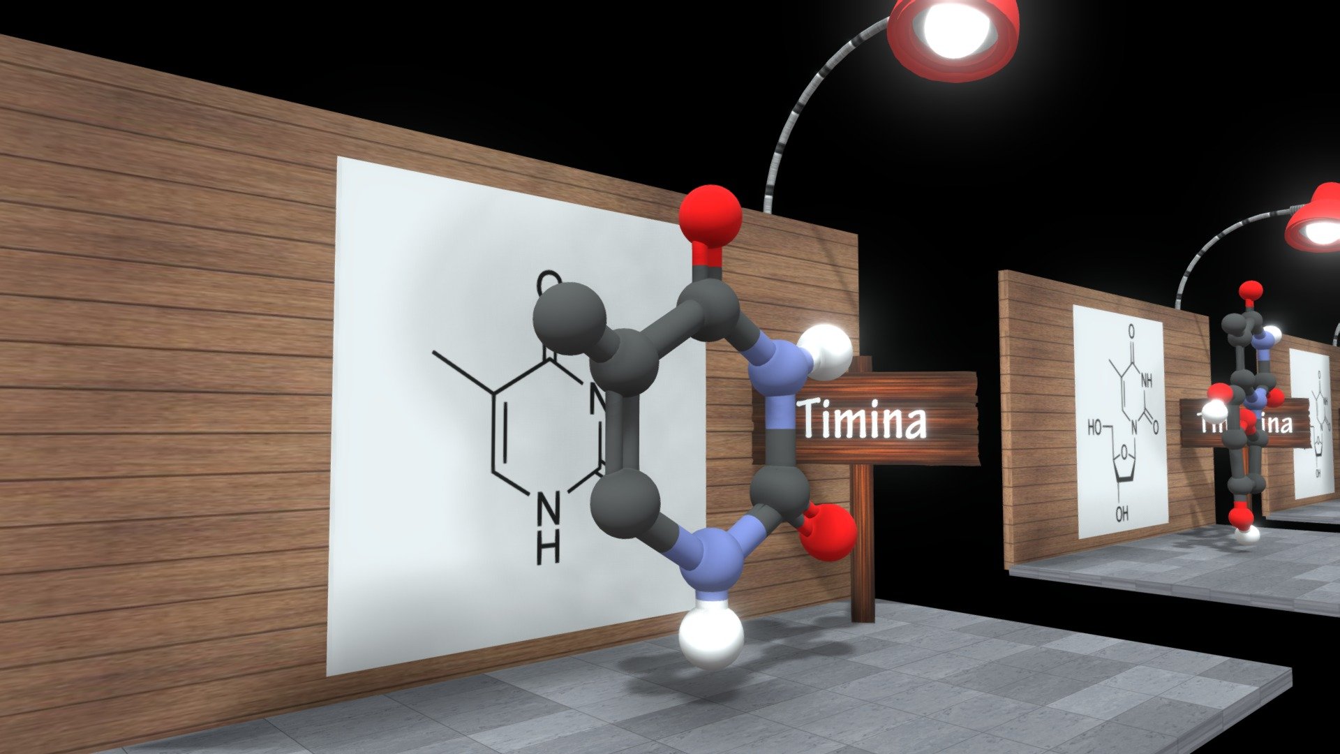 Escenario timina reducido - Download Free 3D model by davidquint ...